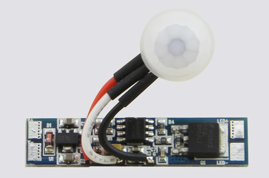 BL-PRO-PIR2 | Bipaled