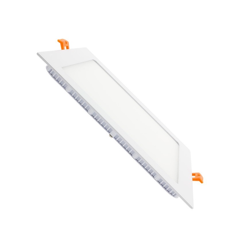 BL-IN-Q20L | Bipaled